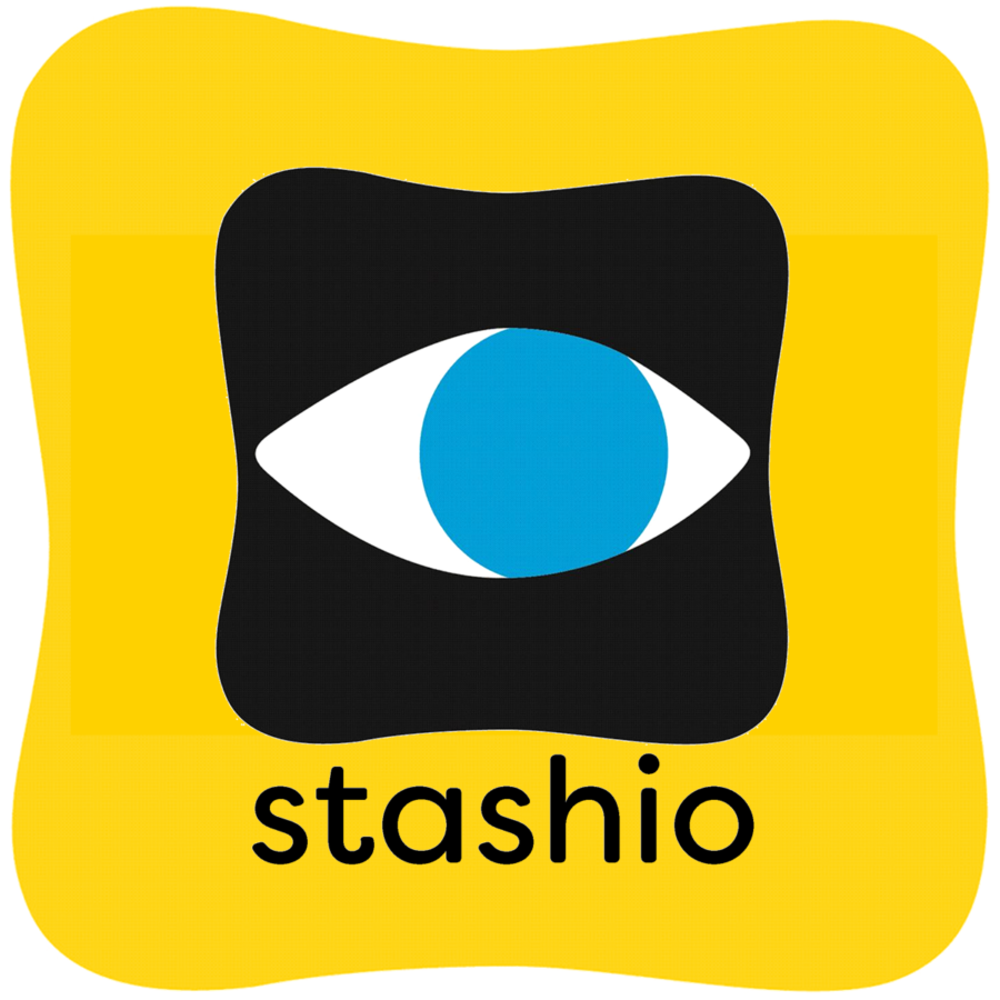Stashio – Handbag Organizer